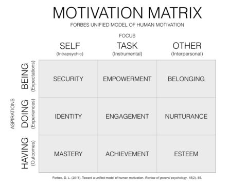 Motivation Matrix - Brand Genetics