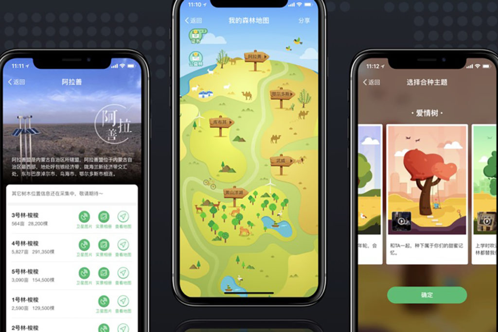 WEB_Ant-Forest-2-1 - Brand Genetics